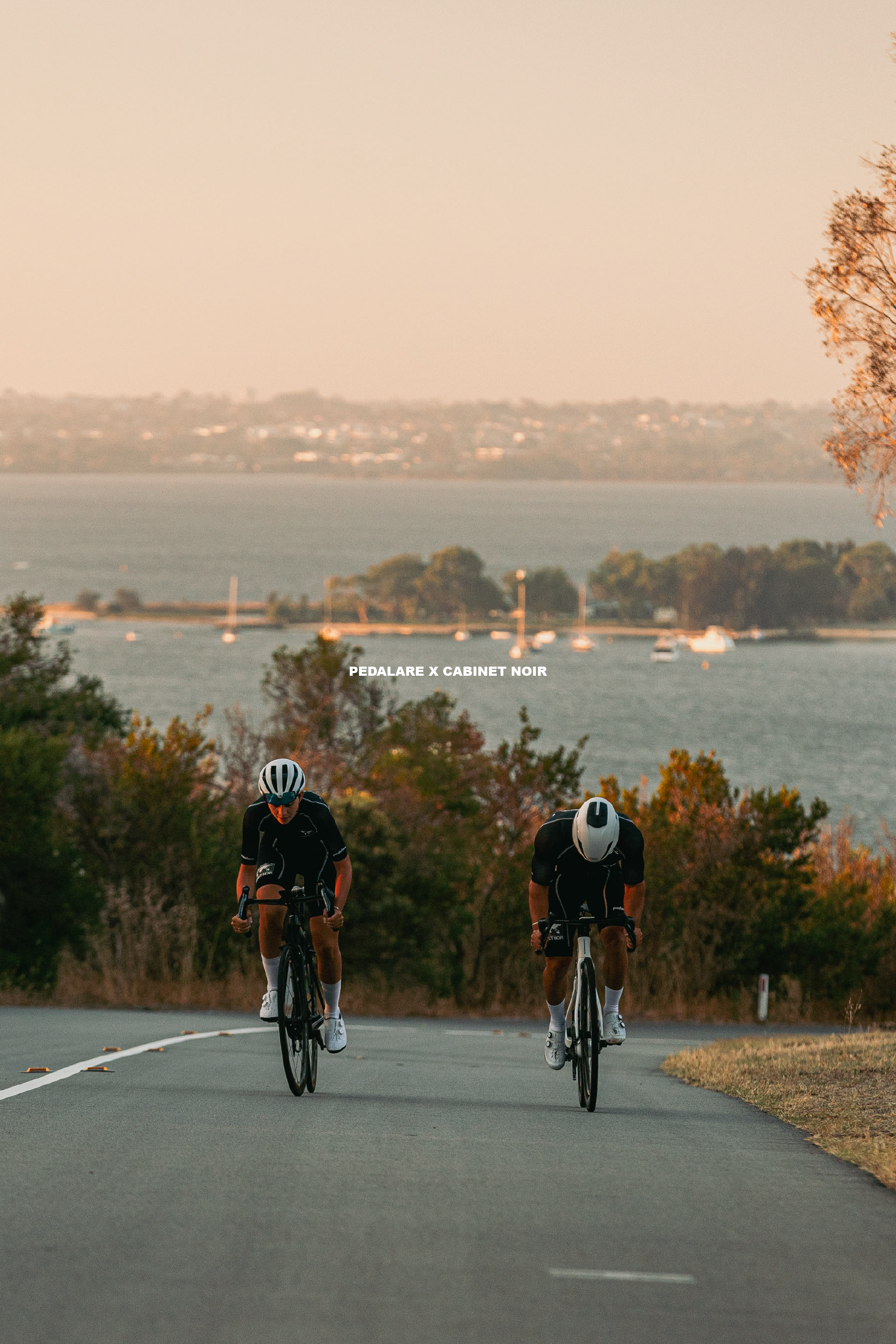 Cabinet Noir x The Pedalare